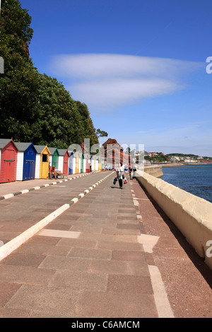 Beach huts at Coryton cove, Dawlish, Devon Stock Photo - Alamy