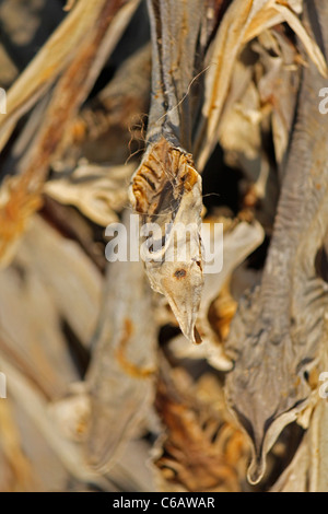 Dried fish, Arunachal Pradesh, India Stock Photo - Alamy