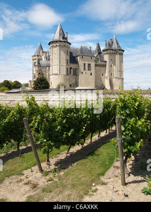 Vineyard in the famous wine making region - Loire Valley , France Stock ...
