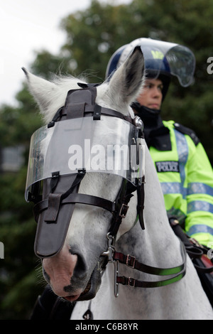A metropolitan police officer in full riot gear Stock Photo - Alamy