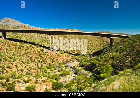 Beeline Highway State Route 87 through the Sonoran Desert northeast of ...