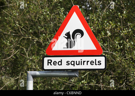 Road sign warning of Red Squirrels Stock Photo - Alamy