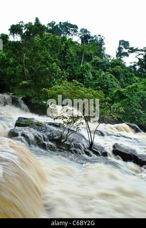 near Gbarnga, Liberia Stock Photo - Alamy