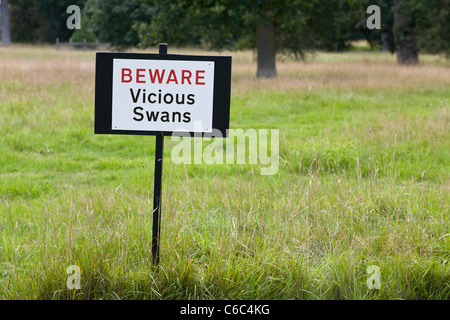Beware Vicious Swans sign on grassland, Norfolk, UK Stock Photo - Alamy
