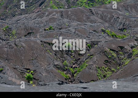 Rabaul destroyed by volcanic eruption Papua New Guinea New Britain ...