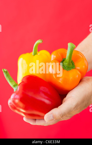 A hand is holding a yellow bell pepper above the garden while green ...
