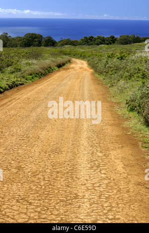The road from Rano Kau to the south coast on Rapa Nui island. Rapa Nui ...