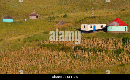 Rural Xhosa hut in construction in the Eastern Cape Province, made from ...