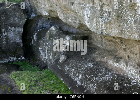 Unfinished Moai statues still embedded into the mountain side at Rano ...
