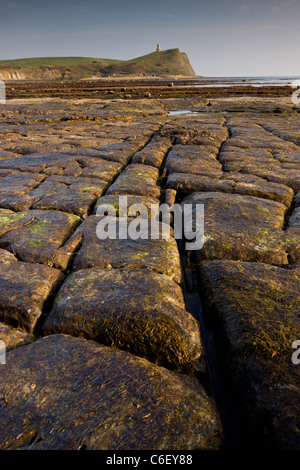 Wave-cut platform at Kimmeridge Bay, Dorset, UK Stock Photo - Alamy