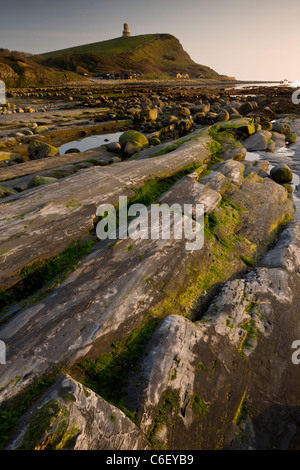 Rock pool at Kimmeridge Bay, Dorset, England Stock Photo - Alamy