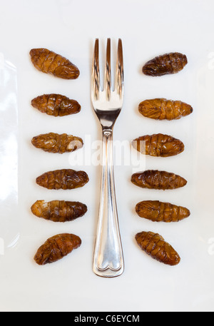 A Plate of Cooked Silkworm Larvae - An example of the strange or weird ...