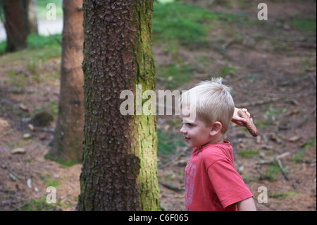 Child blond boy throwing cone in forest - cones battle Stock Photo - Alamy