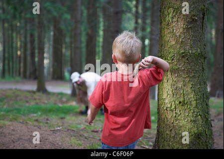 Child blond boy throwing cone in forest - cones battle Stock Photo - Alamy