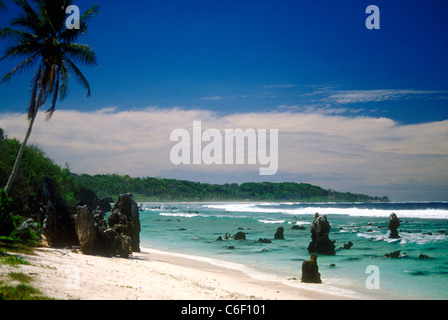 Palm trees wave above Anibare Bay. Republic of Nauru, Central Pacific ...