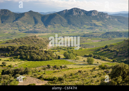 A view across the Maury wine growing region below the Pyrenees in ...