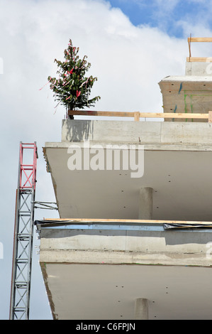 Topping tree at a construction site Stock Photo - Alamy