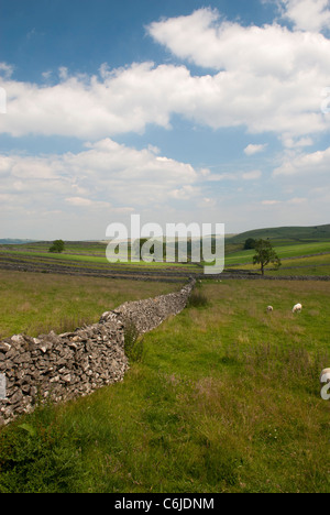 Peak Dale, Derbyshire, GB, United Kingdom, England, N 53 17' 10'', S 1 ...