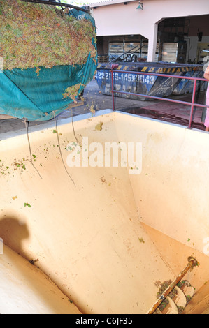View of large concrete grape hopper, corkscrew auger and mechanical ...