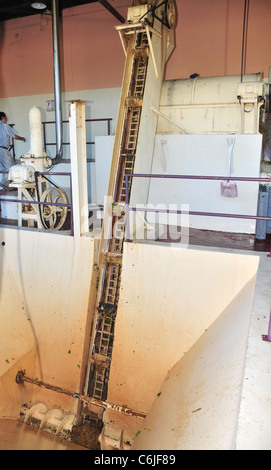 View of large concrete grape hopper, corkscrew auger and mechanical ...