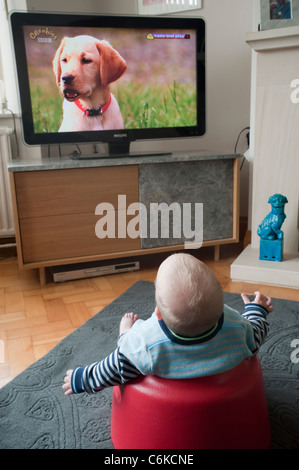 Child Watching Cbeebies On Tv Stock Photo - Alamy