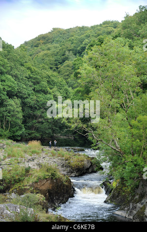 The River (or Afon) Teifi from Cenarth Bridge forming the border ...