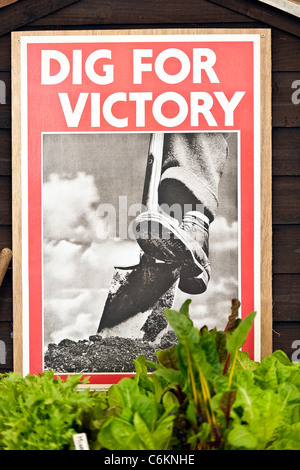 Dig for Victory Stock Photo: 21208632 - Alamy