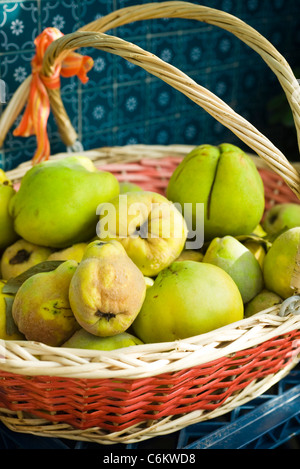 still life with quince and wicker basket. vitamins. harvest ripe fruit ...