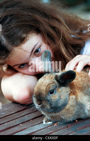 Rabbit undergoes surgery to cure buck teeth This Dwarf rabbit suffered ...