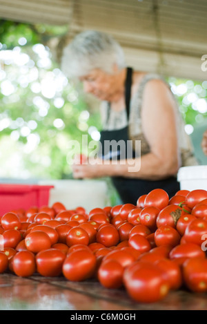 A person holds a ripe tomato in both hands while standing in a garden ...