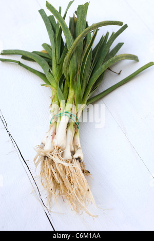 Fresh leeks shot from above, isolated on white with clipping path Stock ...