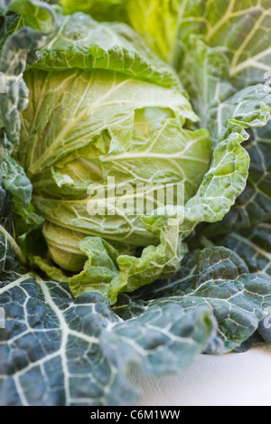Cabbage heads, close up. Full Frame Shot Of Fresh Cabbage Stock Photo ...