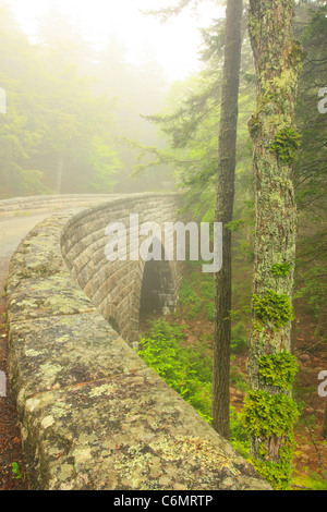 Hemlock Bridge and Maple Springs Trail, Acadia National Park, Maine ...