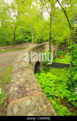 Stanley Brook Carriage Road Bridge, Acadia National Park, Maine, USA ...