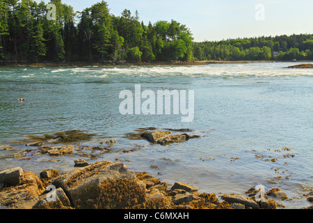Tidal Falls Preserve, Maine Stock Photo - Alamy