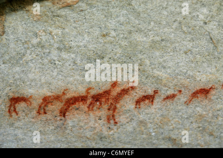 Ancient rock art, drawings of the San people, indigenous people of ...