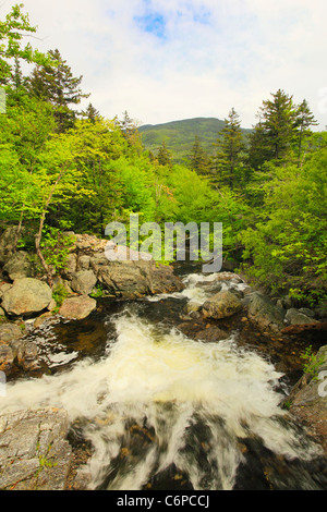 Pinkham Notch of the White Mountain National Forest of New Hampshire ...
