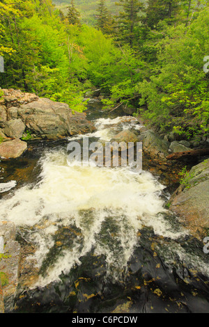 Waterfall Beside Tuckerman Ravine Trail, Pinkham Notch, White Mountains ...