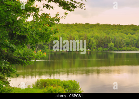 Grout Pond, Kelly Stand Road, Near Appalachian Trail, Arlington ...