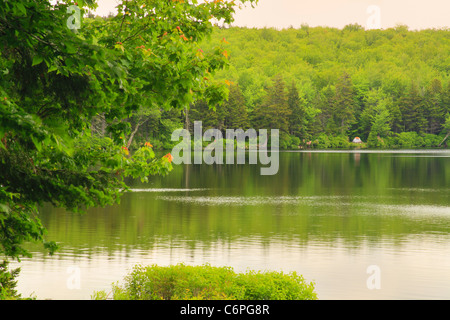 Grout Pond, Kelly Stand Road, Near Appalachian Trail, Arlington ...