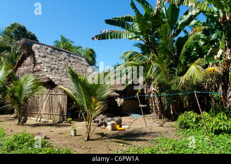 Natives, Indians, Amazon Indian Tribe, indiginous, Ticuna, Indian ...
