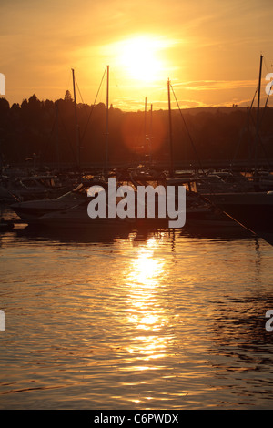 Sunset over Torquay Harbour and Marina, English Riviera from a drone ...