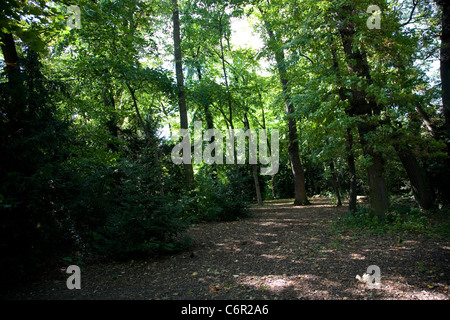 Parc Bertrand in Geneva Stock Photo - Alamy