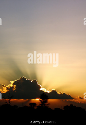 sunset in the bushveld Stock Photo - Alamy