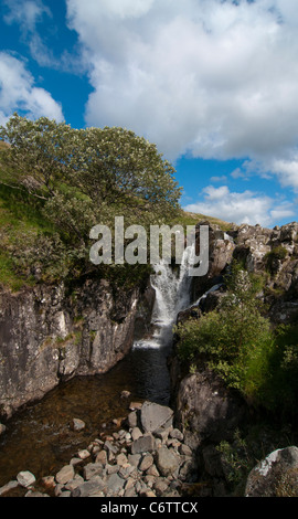 Waterfall on Talla Water burn Stock Photo - Alamy
