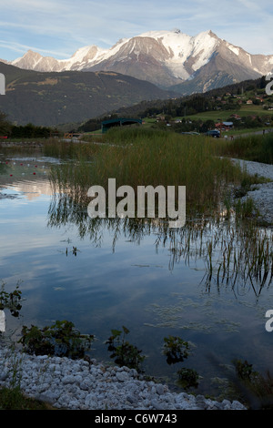Combloux : Organic pool Stock Photo - Alamy