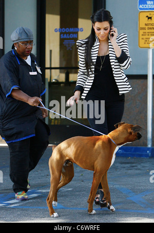 Kim Kardashian collecting her dog Rocky from a grooming salon in West ...