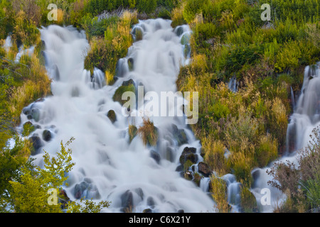 Natural spring water at Niagara Springs State Park in Hagerman Idaho ...