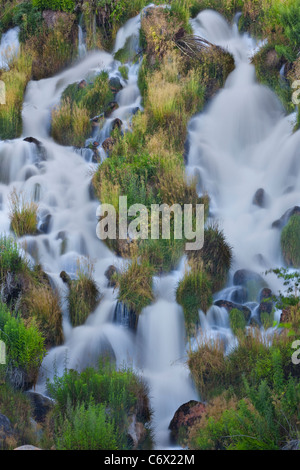 Natural spring water at Niagara Springs State Park in Hagerman Idaho ...