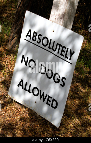 No dogs allowed Stock Photo - Alamy